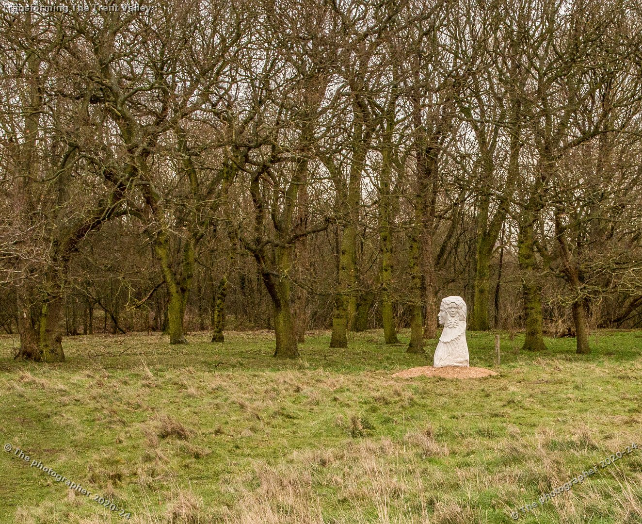 David Cowper Trisentona Jan 2024 Transforming The Trent Valley