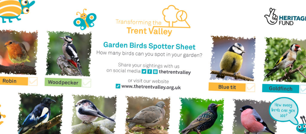 Transforming the Trent Valley